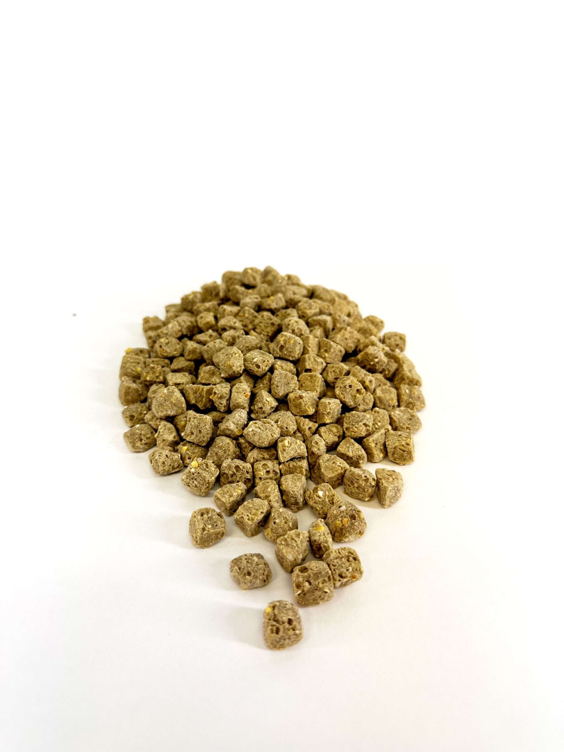 Adult Lifetime Coarse - Harrison's Bird Foods