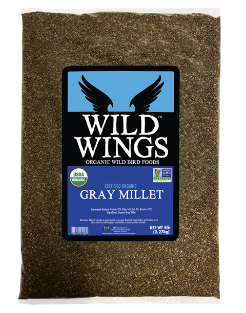 GREY MILLET* - Certified Organic - 5lb Bag - Harrison's Bird Foods