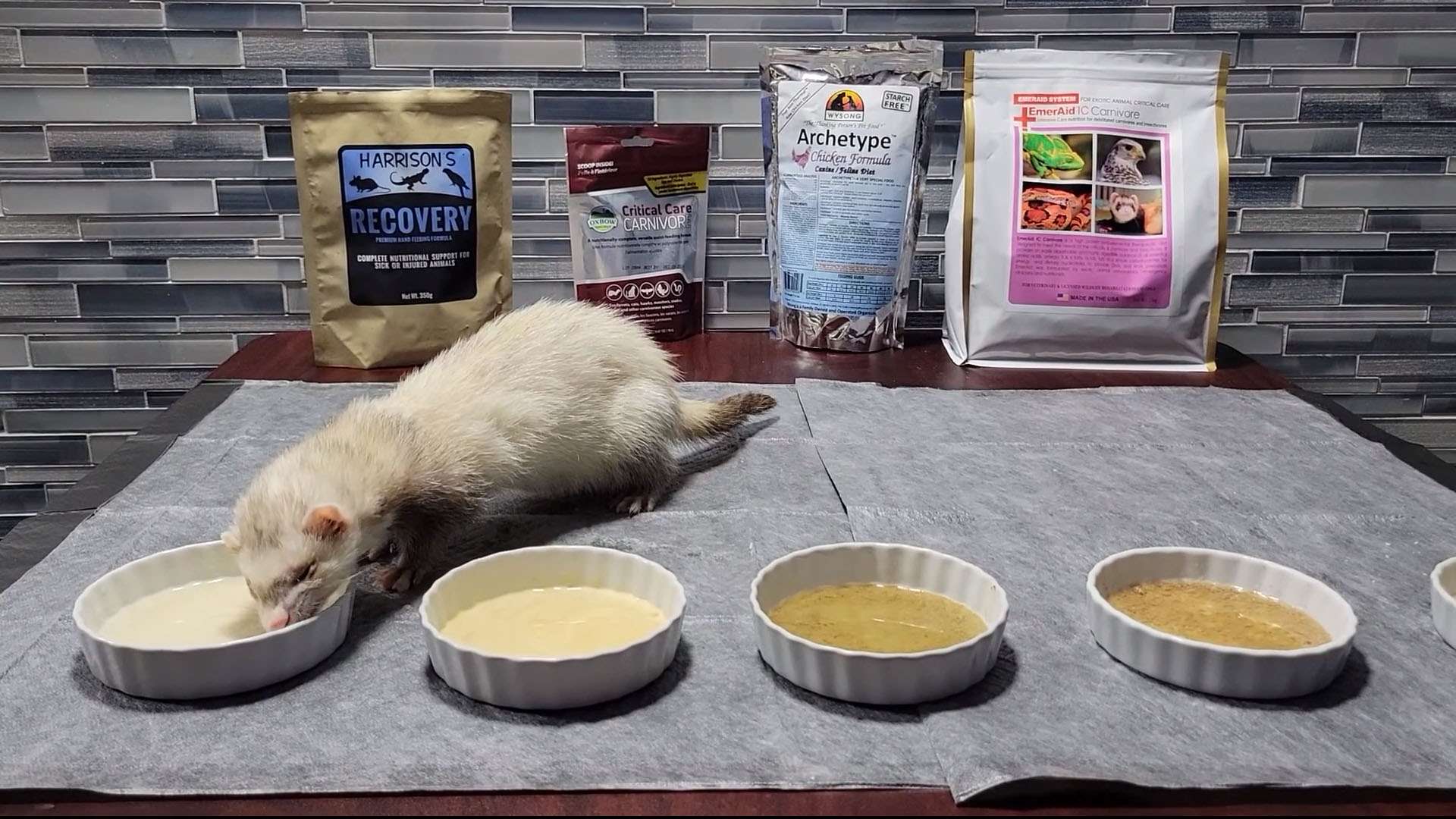 Recovery Formula - Harrison's Bird Foods