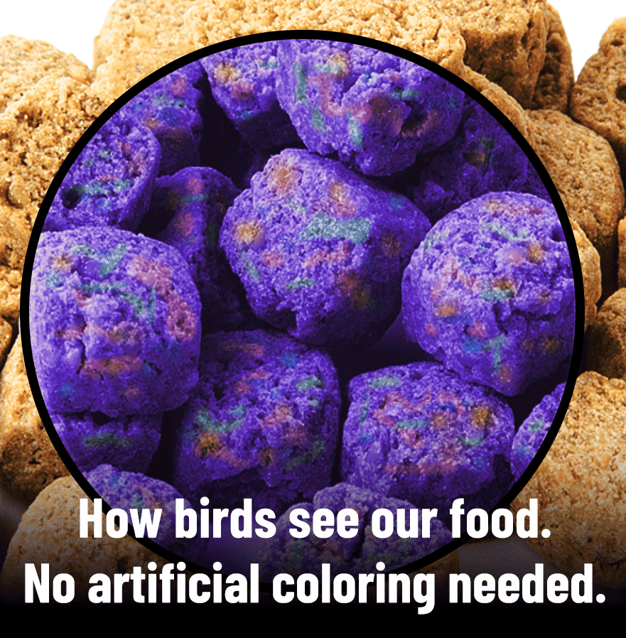 HIGH POTENCY COARSE* - Harrison's Bird Foods