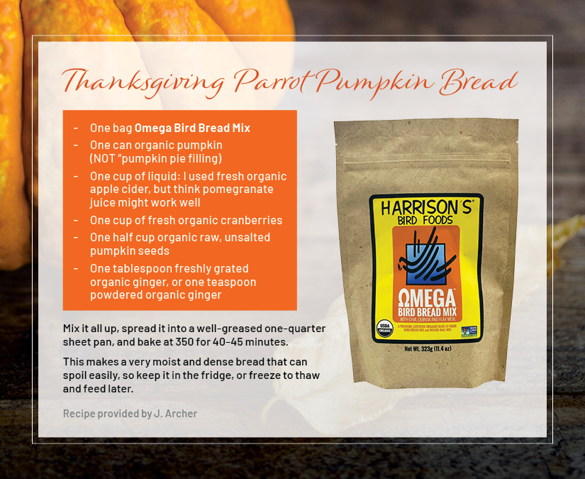 BIRD BREAD MIX - OMEGA* - Harrison's Bird Foods