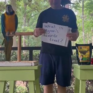 NEW - Nuggies - Harrison's Bird Foods