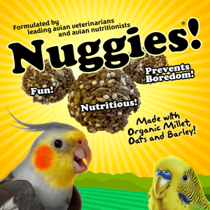 NEW - Nuggies - Harrison's Bird Foods