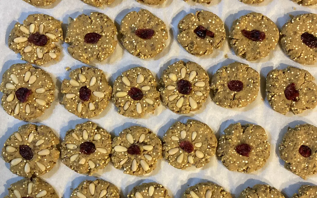 Sweet Potato Cookies - Harrison's Bird Foods