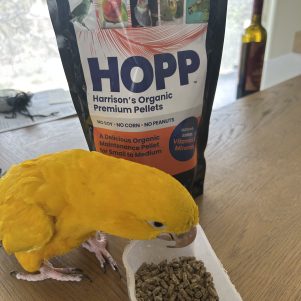 Harrison's Organic Premium Pellets* - Harrison's Bird Foods