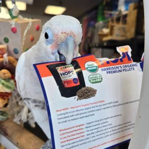 Harrison's Organic Premium Pellets* - Harrison's Bird Foods